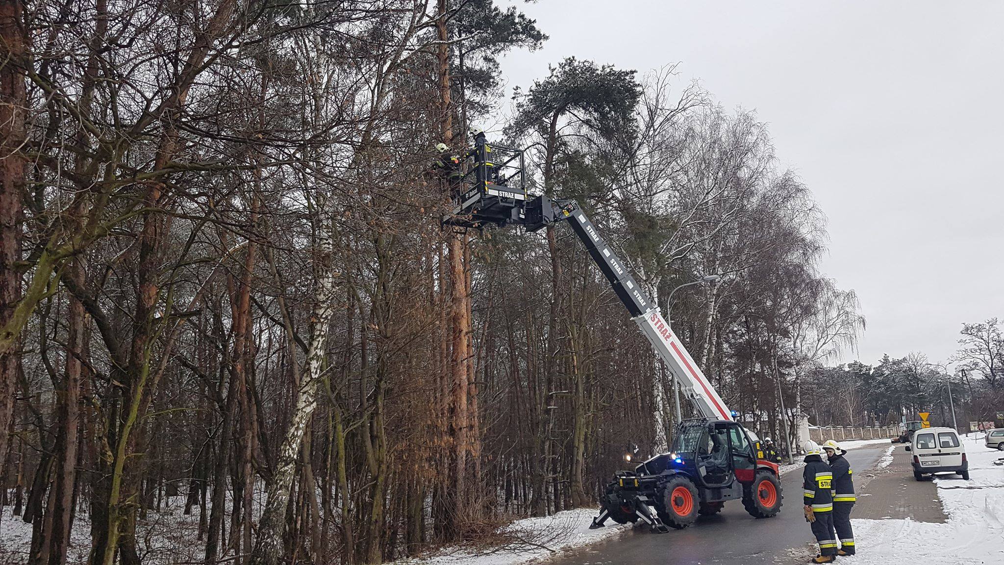 Bobcat T40.180SLP - telehandler | LECTURA Press