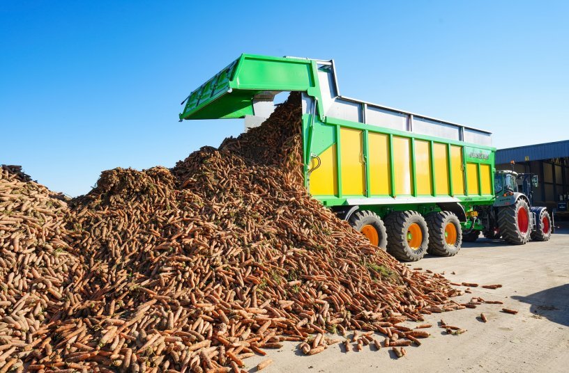 Drakkar: multi-talent in the JOSKIN range | LECTURA Press