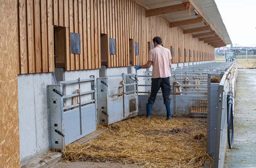 WEDA EuroTier Novelty 2022: Quick.Gate barrier gate | LECTURA Press