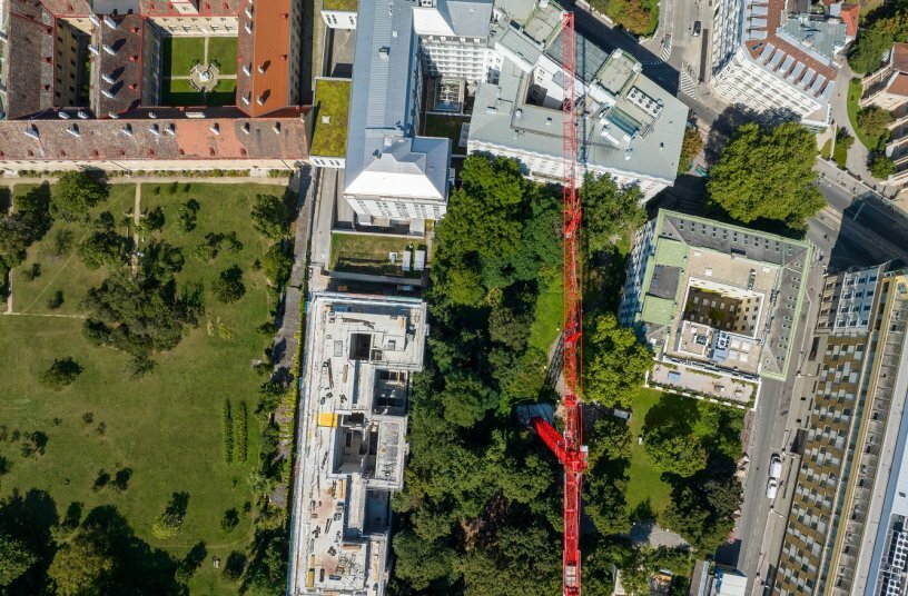 A WOLFF crane in the botanical garden – Restructuring the Eu- ropean ...